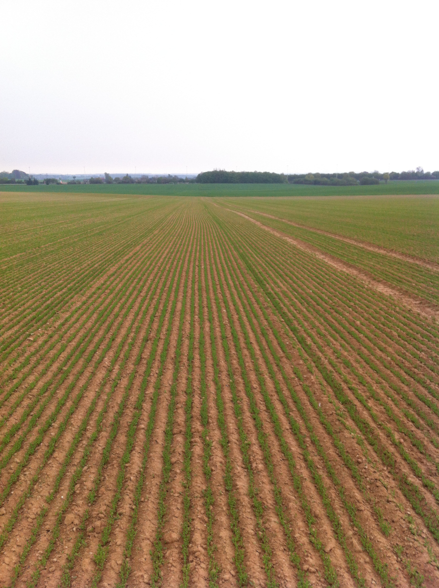 La culture du lin | devalin