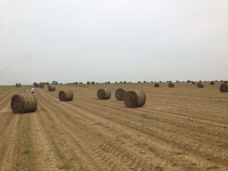 La culture du lin | devalin